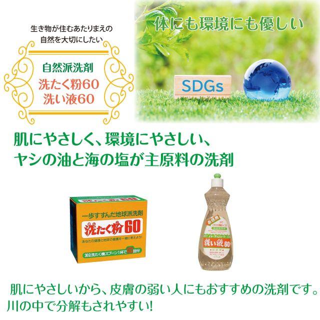 洗い液60 600ml（台所用洗剤） 自然派 ヤシ油由来 ニオイなし 快い洗い心地 手荒れ防止 SDGs , : リダクティオ公式ヤフー店 - 通販 - Yahoo!ショッピング