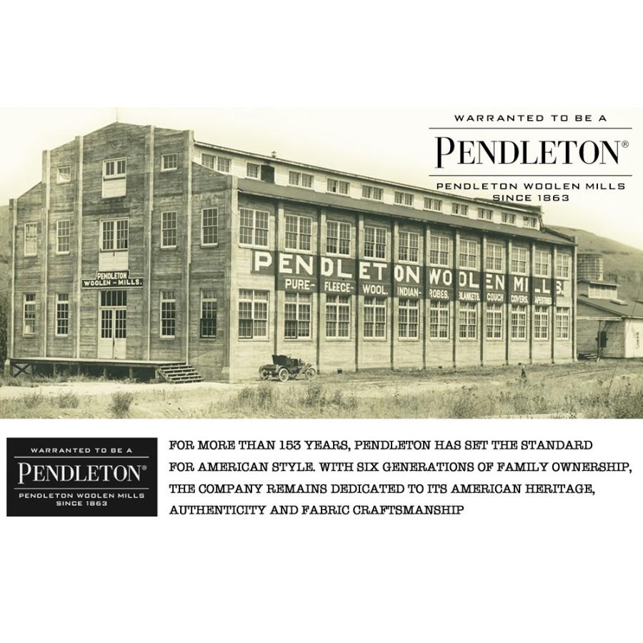 PENDLETON ペンドルトン 3275-2007 Front Print Tee フロント プリント Tシャツ CREW NECK クルーネック ネイティブ柄 Harding 49 ...