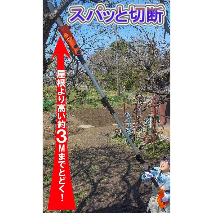 YARD FORCE チェーンソー 高枝切り電動チェーンソーVmax チェーンソー 高枝 電動 軽量 高枝電動チェーンソー YARD FORCE オレゴン製 OREGON 送料無料 : リーフ ...