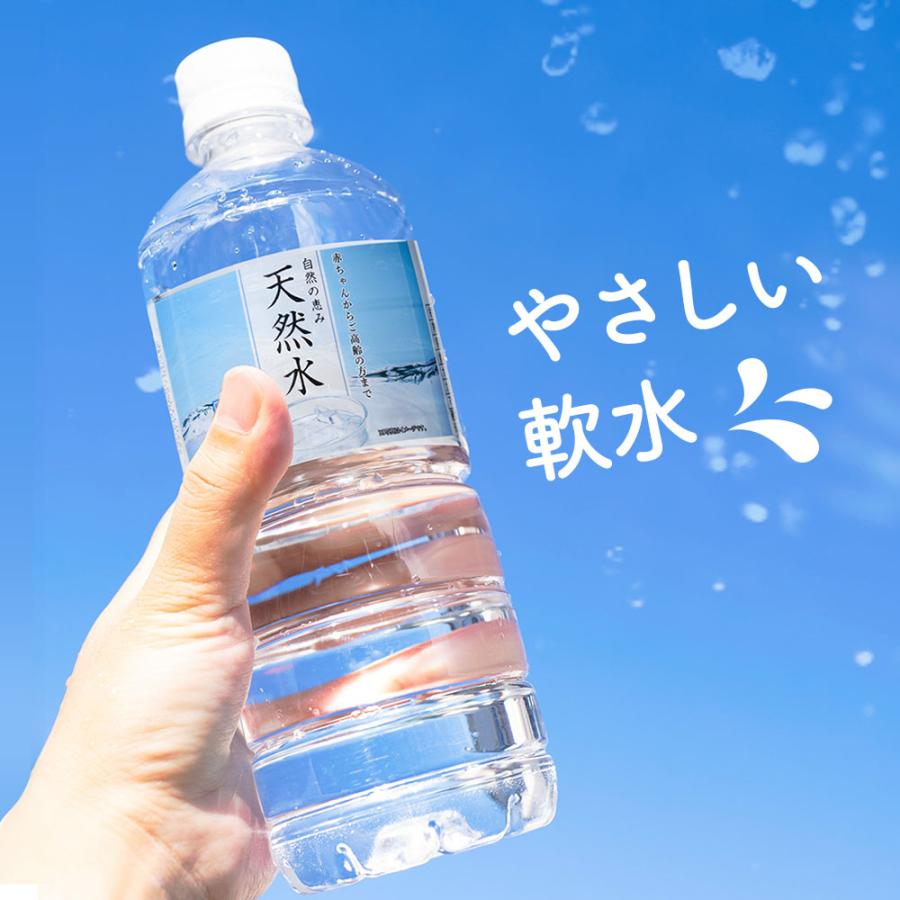 【予約販売12月03日より順次出荷】水 500ml 48本 天然水 ミネラルウォーター 軟水 飲料水 水 国産 静岡県産 まとめ買い ケース買い : レゴリス - 通販 - Yahoo!ショッピング