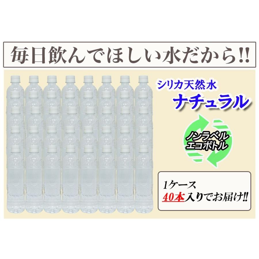 シリカ水 525ml 40本 高濃度シリカ水 シリカウォーター 水 軟水 ラベルレス エコボトル 国産 大分県産 : レゴリス - 通販 - Yahoo!ショッピング