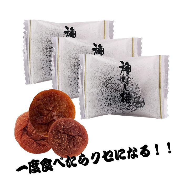 種なし干し梅160g 5点セット : ドラッグストアREIKA Yahoo!店 - 通販 - Yahoo!ショッピング