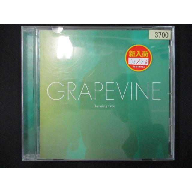 890＃レンタル版CD Burning tree/GRAPEVINE 3700 : ステップREIKODO - 通販 - Yahoo!ショッピング
