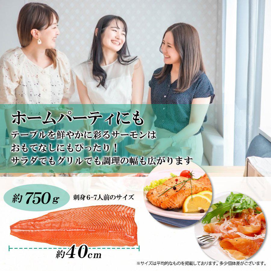 御歳暮 ギフト サーモン 刺身 とろサーモン トロ 業務用 たっぷり半身 骨なし約650g(650〜750g) 国産 冷凍 青森県産 冊 チタタブ ヒンナ ギフト 贈り物 : 5801 : れ ...