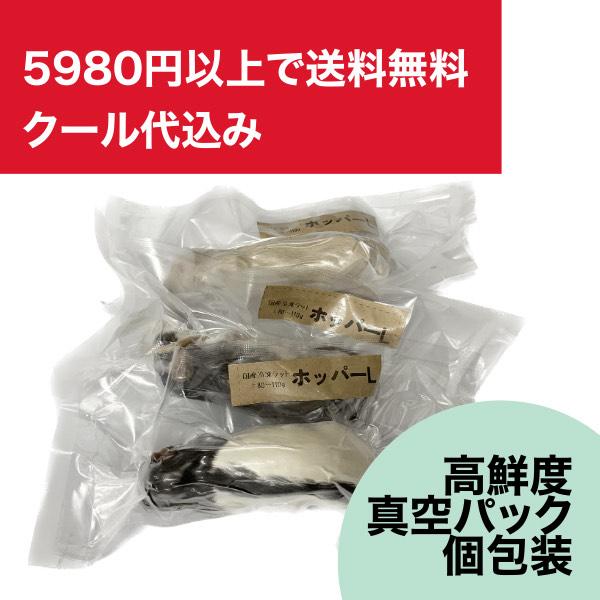 ホッパーLラット （10匹） 増量 冷凍マウス 冷凍ラット 国産 約80−110g 5980円以上で送料無料 常温商品同梱不可 : 冷凍大蛇 - 通販 - Yahoo!ショッピング