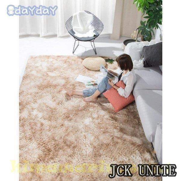 ラグ カーペット ラグマット 洗える ふわふわオールシーズン おしゃれ 秋用 冬用 ホットカーペット対応 屋内用 インテリア マットおしゃれ 50*120 60*160 : q1030-jck ...