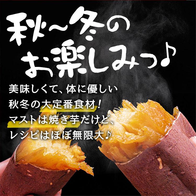 さつまいも（安納芋） 10kg 送料無料 ※11/1〜順次発送 R5年 静岡県 藤枝産 3S/2S/S/M/Lサイズ混合 安納芋/サツマイモ/さつまいも/正規品 :annouimo-10 ...