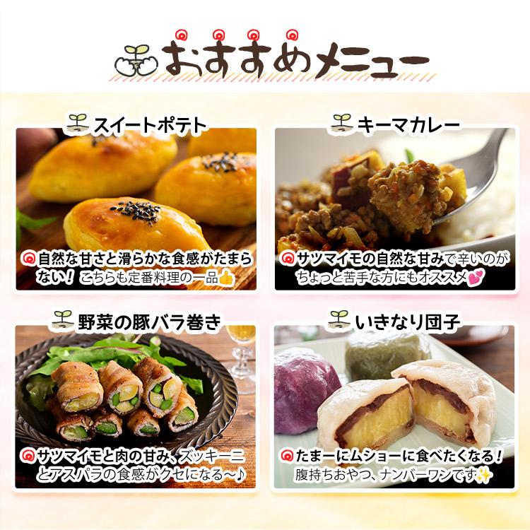 さつまいも（安納芋） 10kg 送料無料 ※11/1〜順次発送 R5年 静岡県 藤枝産 3S/2S/S/M/Lサイズ混合 安納芋/サツマイモ/さつまいも/正規品 :annouimo-10 ...