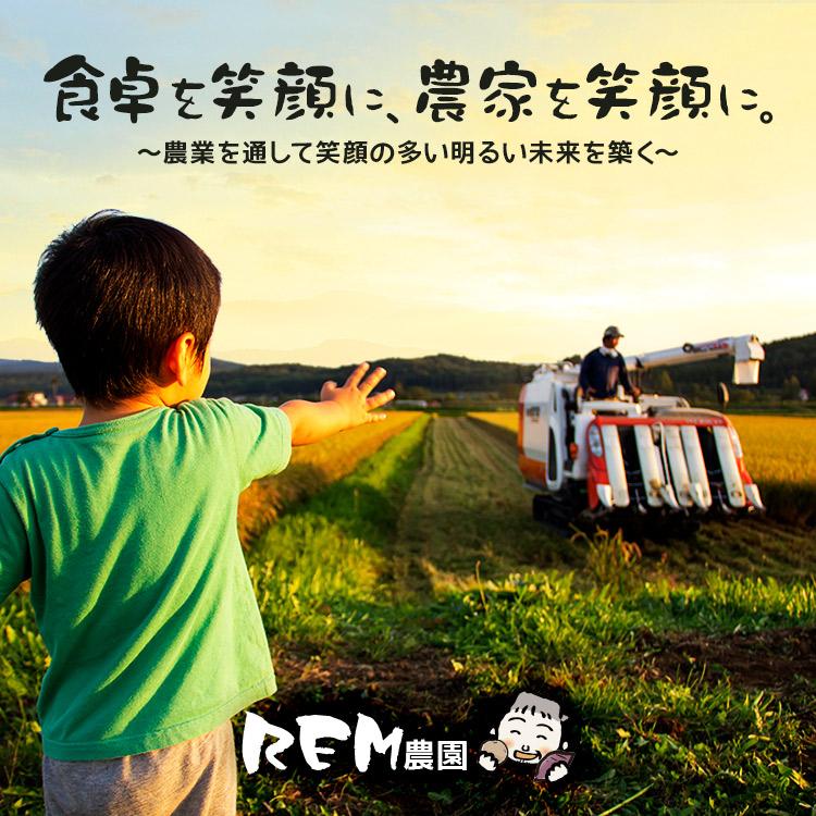 さつまいも（安納芋） 10kg 送料無料 ※11/1〜順次発送 R5年 静岡県 藤枝産 3S/2S/S/M/Lサイズ混合 安納芋/サツマイモ/さつまいも/正規品 :annouimo-10 ...