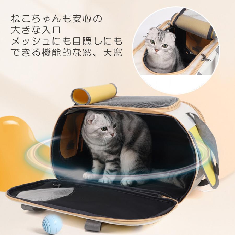折りたためるペットキャリー 【猫 キャリーケース バッグ】 : t0154 : スラックラインショップRENY - 通販 - Yahoo!ショッピング