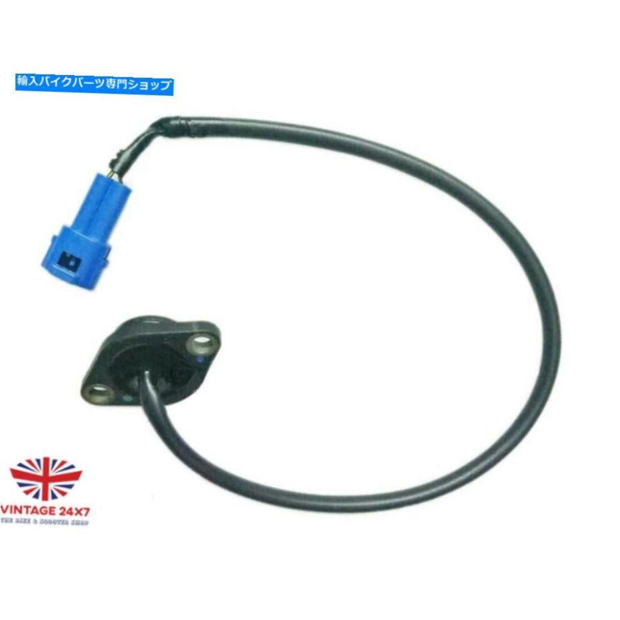 Gas Tank ロイヤルエンフィールドヒマラヤギアポジションセンサーフィット ROYAL ENFIELD HIMALAYAN GEAR ...