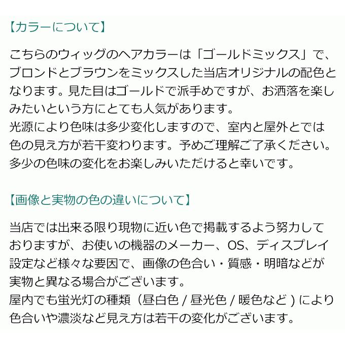 ウィッグ ショート ミセス フルウィッグ 医療用 レディース 女性 ウィッグ ショート ミセス フルウィッグ 医療用 レディース 女性