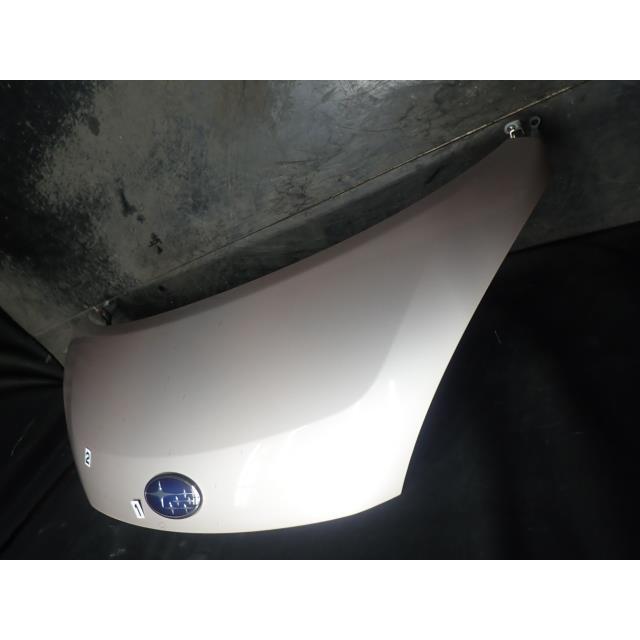 ステラ DBA-LA110F ボンネットフード T22 : RETEX - 通販 - Yahoo!ショッピング