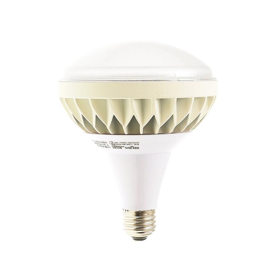 LED電球 防水 看板照明 18W 1800lm 昼白色 5000K PAR38形 E26口金 PSE適合 岩崎電気 パナソニック 東芝ライテックのアイランプホルダに対応 1個入り : リュウ ...