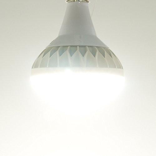 LED電球 防水 看板照明 18W 1800lm 昼白色 5000K PAR38形 E26口金 PSE適合 岩崎電気 パナソニック 東芝ライテックのアイランプホルダに対応 1個入り : リュウ ...