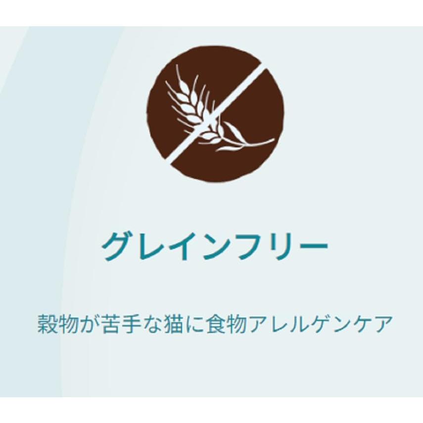 ピュリナ ワン キャット ドライ グレインフリー1歳以上 白身魚 1.6kg : two streams - 通販 - Yahoo!ショッピング