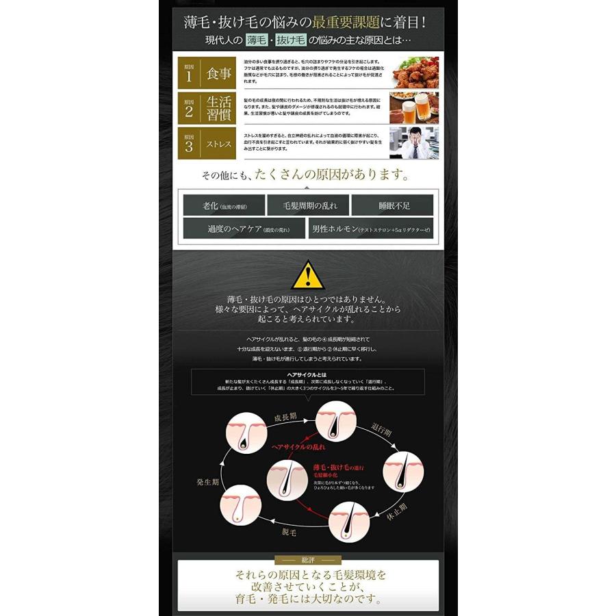 &GINO プレミアムグローパワー 120ml 医薬部外品 | 育毛剤 育毛ローション 発毛促進 :guropower120:GANTS FOOD HOUSE - 通販 - Yahoo!ショッピング