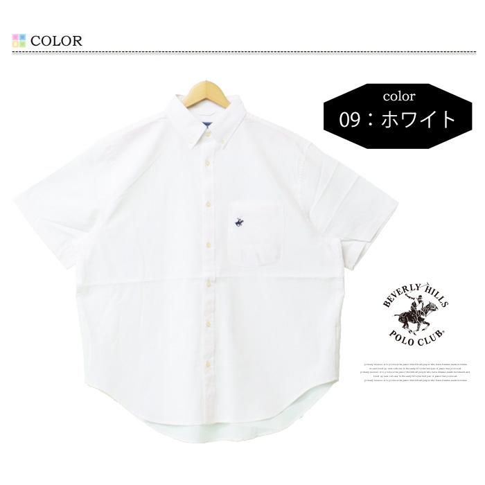 BEVERLY HILLS POLO CLUB ビバリーヒルズポロクラブ 半袖シャツ メンズ ボタンダウンシャツ 送料無料 4222-4140 : bd-4222-4140 : REX ONE ...