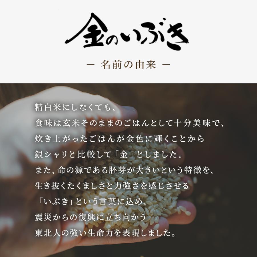 玄米 450g×12袋 金のいぶき | 送料無料 宮城県産 玄米食 450g 5.4kg 米 お米 小分け 脱酸素剤 美味しい ギフト お取り寄せ 高評価グルメ ダイエット 糖質 : Rice ...