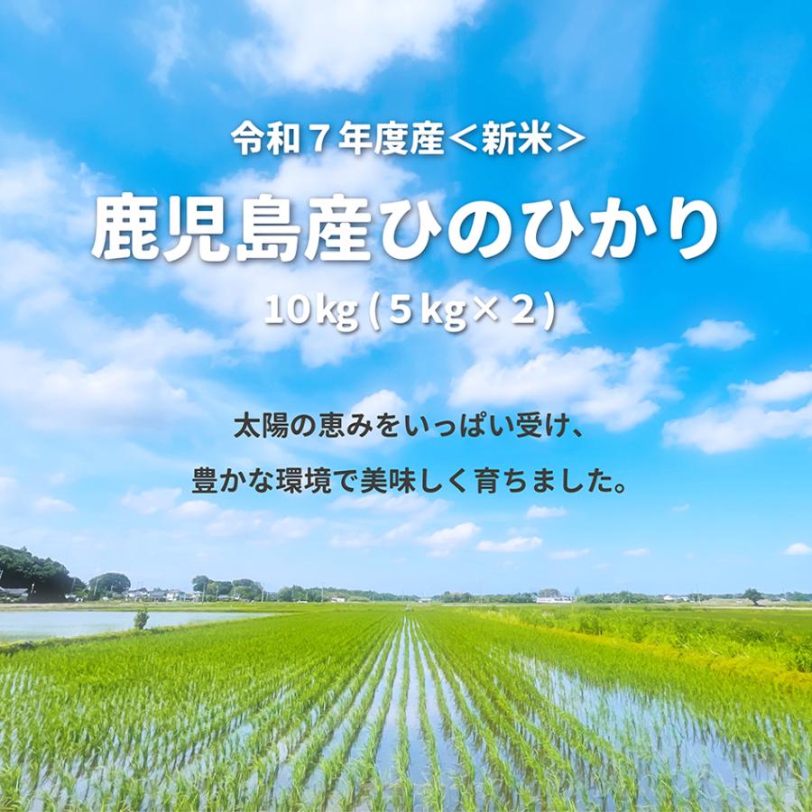 令和7年産 鹿児島ひのひかり お米 10kg（5Kg×2袋） 白米 ひのひかり 米 美味い : 日本ライスカンパニー - 通販 - Yahoo!ショッピング