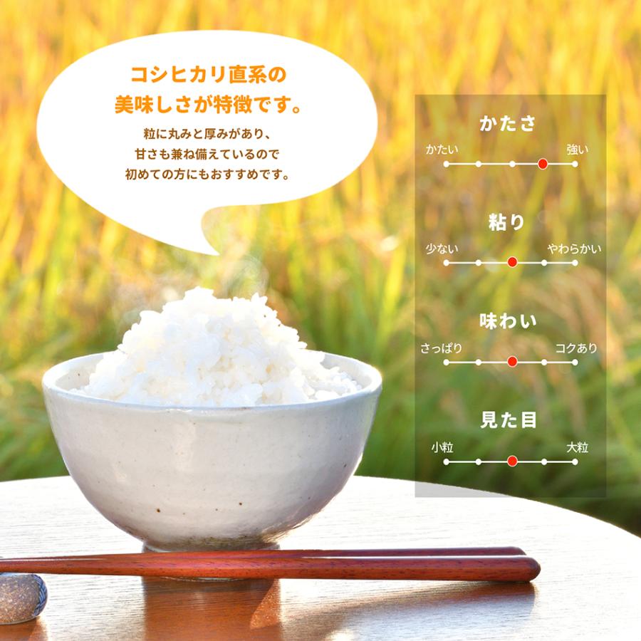 令和7年産 鹿児島ひのひかり お米 10kg（5Kg×2袋） 白米 ひのひかり 米 美味い : 日本ライスカンパニー - 通販 - Yahoo!ショッピング