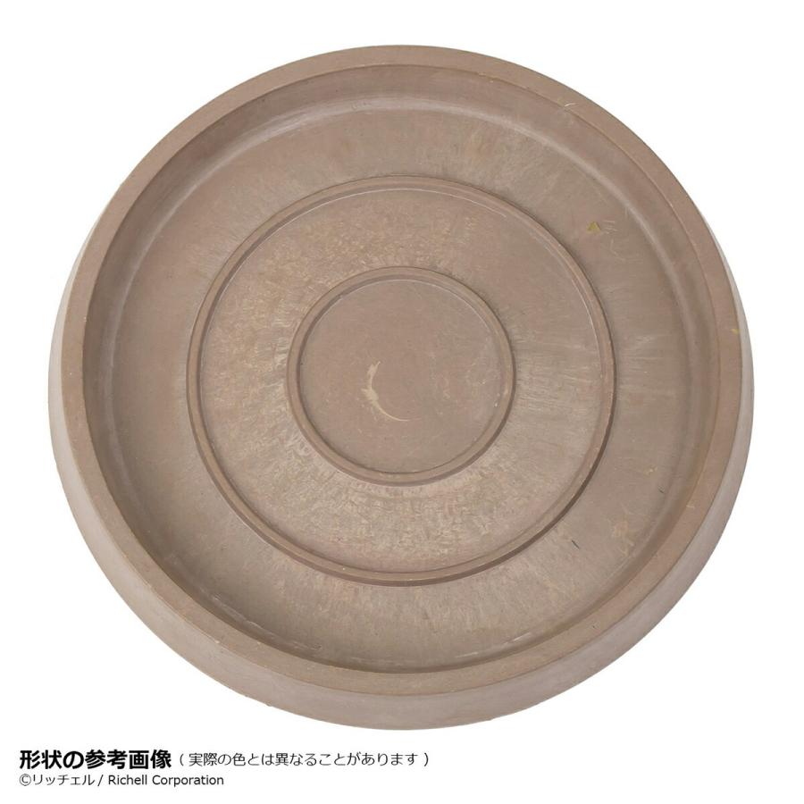 ボタニー プレート 25型 078351 リッチェル Richell 公式ショップ :078351:リッチェル Yahoo!ショッピング店 - 通販 - Yahoo!ショッピング