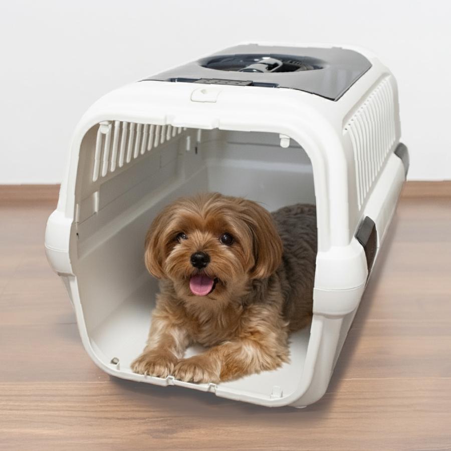 リッチェル（Richell） ES キャンピングキャリーR ダブルドア M クレート キャリー 旅行 おでかけ 防災 ペット 犬 猫 超小型犬 小型犬 プラスチック 公式ショップ : リッ ...