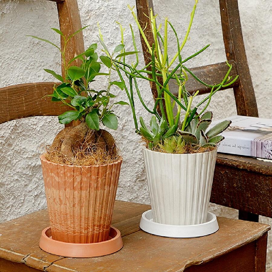 リッチェル ボタニー ストライプポット 15型 園芸 ガーデン ガーデニング 植木 鉢 おしゃれ プラスチック Richell 公式ショップ : リッチェル Yahoo!ショッピング店 ...