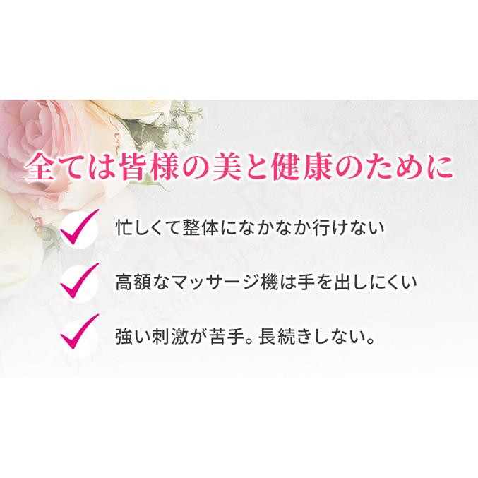 コニー 芦屋美整体 骨盤シェイプエアープレミアム CY-1154 コニー 芦屋美整体 骨盤シェイプエアープレミアム CY-1154