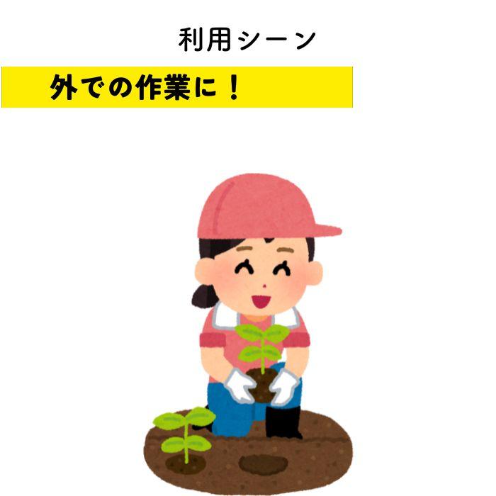 カバヤ食品 塩分チャージタブレッツ【スポーツドリンク味×塩レモン味】各12袋 計24袋セット 81g 熱中症対策 タブレット グッズ 真夏日 運動部 部活 塩分補給 ク : TENGuuuU ...