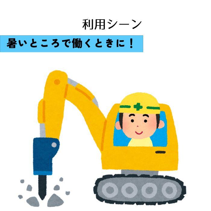 カバヤ食品 塩分チャージタブレッツ【スポーツドリンク味×塩レモン味】各12袋 計24袋セット 81g 熱中症対策 タブレット グッズ 真夏日 運動部 部活 塩分補給 ク : TENGuuuU ...