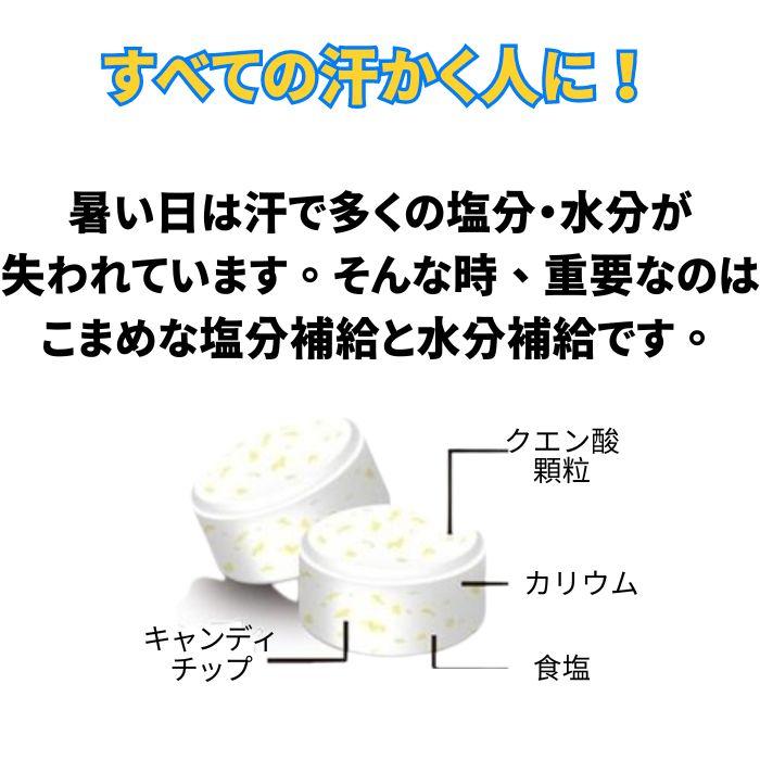 カバヤ食品 塩分チャージタブレッツ【スポーツドリンク味×塩レモン味】各12袋 計24袋セット 81g 熱中症対策 タブレット グッズ 真夏日 運動部 部活 塩分補給 ク : TENGuuuU ...