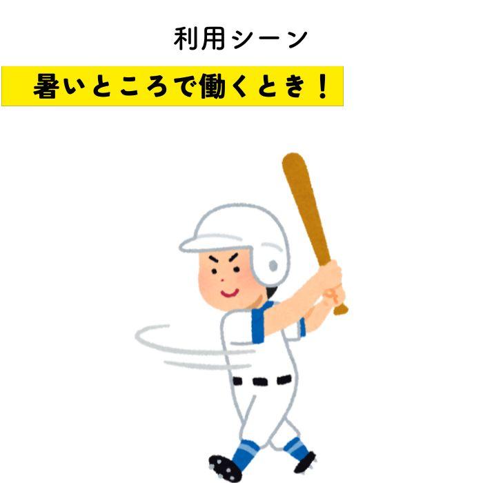カバヤ食品 塩分チャージタブレッツ【スポーツドリンク味×塩レモン味】各12袋 計24袋セット 81g 熱中症対策 タブレット グッズ 真夏日 運動部 部活 塩分補給 ク : TENGuuuU ...