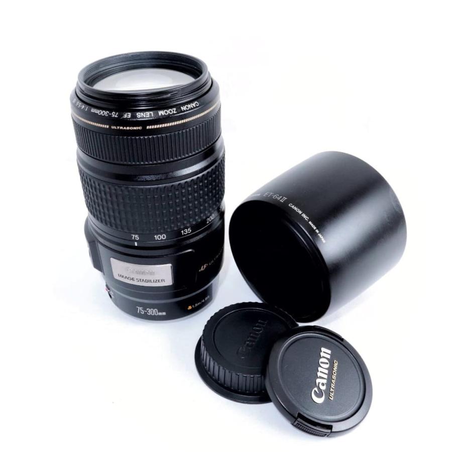 《美品》 CANON EF 75-300mm F4-5.6 IS USM 望遠レンズ キャノン k1517 : りんすまいる - 通販 ...