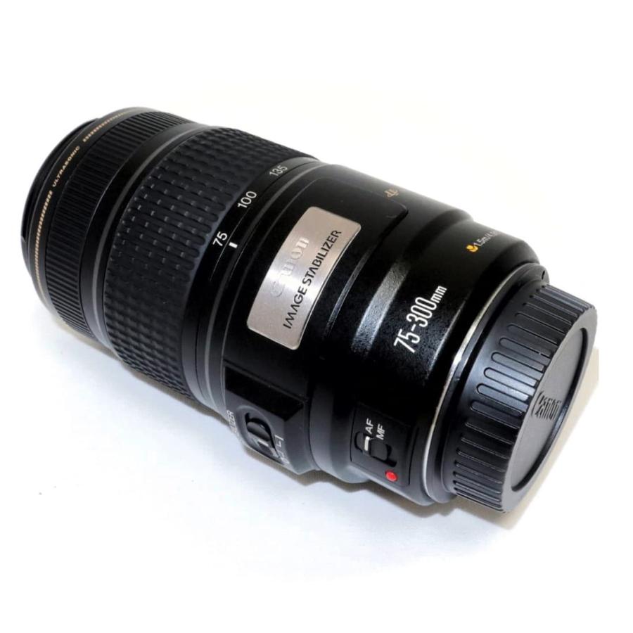 《美品》 CANON EF 75-300mm F4-5.6 IS USM 望遠レンズ キャノン k1517 : りんすまいる - 通販 ...