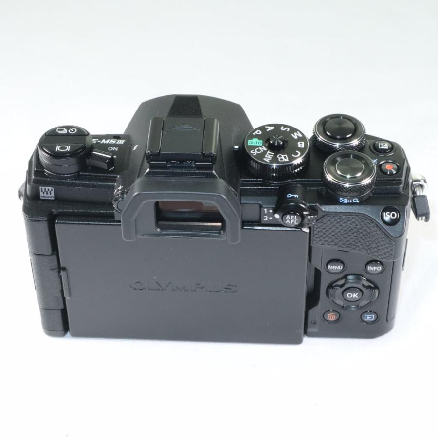 OLYMPUS OM-D E-M5 Mark III ボディ ブラック オリンパス k1999 :k1999:りんすまいる - 通販 - Yahoo!ショッピング