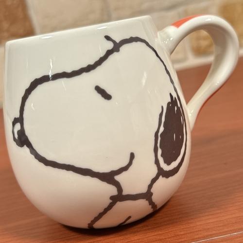 マリモクラフト ピーナッツ フェイスマグ リラックスタイム マグカップ SPZ-3538-43 /スヌーピー チャーリー・ブラウン ジョー・クール オラフ アンディ ウッドストック : スマホ ...