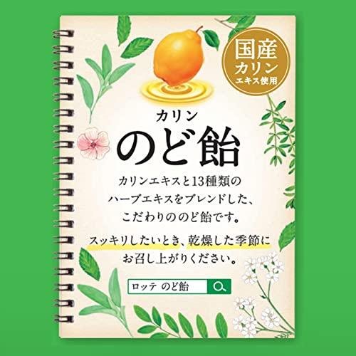ロッテ のど飴(袋)(個包装込み) 102g×10個 : pck-frs-059-10p-01 : 株式会社Riogrande Yahoo!店 - 通販 - Yahoo!ショッピング