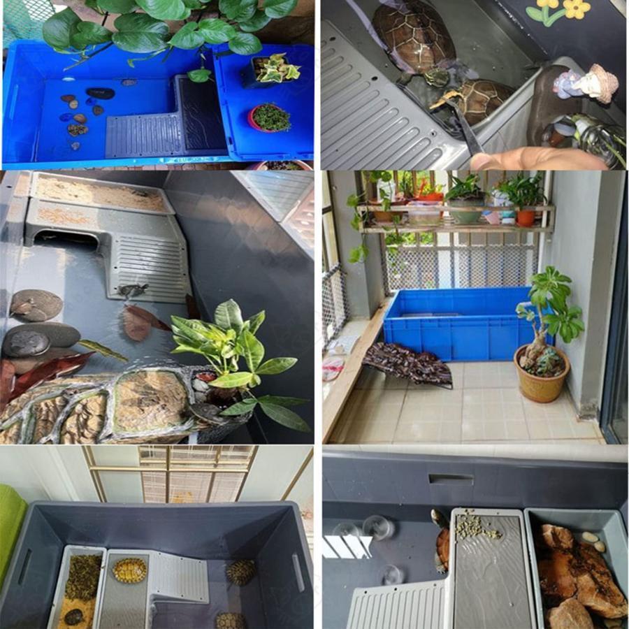 亀観察飼育用プラスチック水槽、特大 亀 飼育ケース、爬虫類ケージ 飼育容器、カメ ボックス、カメ生息地 脱出防止 亀の楽園 カメ亀 タンク 爬虫類繁殖ボックス :p21033831f0fb ...