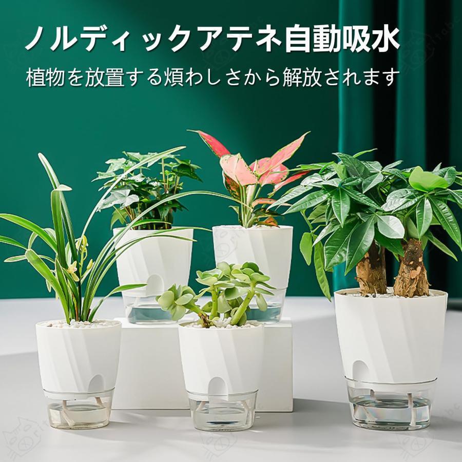 水耕栽培 観葉植物 ハイドロカルチャー 鉢 プラスチック プランター 底面給水鉢 自動給水 多肉植物鉢 虫がわきにくい 室内観葉植物 水耕栽培 リビン : p210565259782 ...