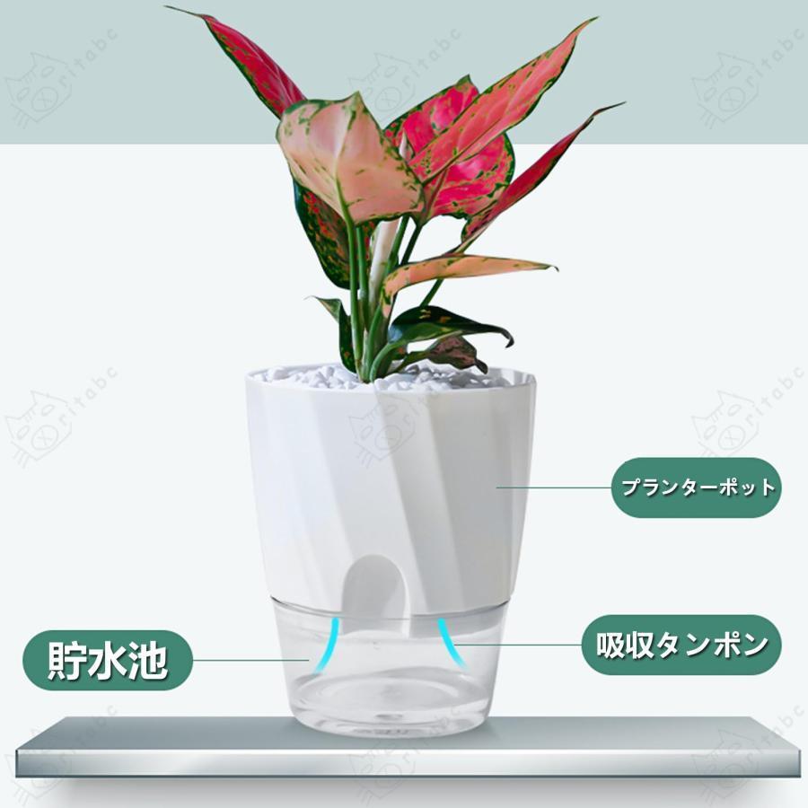 水耕栽培 観葉植物 ハイドロカルチャー 鉢 プラスチック プランター 底面給水鉢 自動給水 多肉植物鉢 虫がわきにくい 室内観葉植物 水耕栽培 リビン : p210565259782 ...