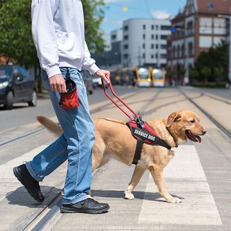 RITFIT 犬用ハーネス 締め防止効果 ペット用首輪 サイズ調整可能 装着簡単 通気性 ペット用ベスト : RITFIT Japan - 通販 - Yahoo!ショッピング