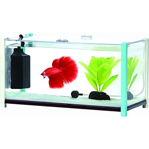 ジェックス GEX AQUA HEATER オートヒーターミニ 10 24~28℃自動保温 安全機能付 SP規格適合 約4L以下の小型水槽用 10W :gza17159151064316 ...