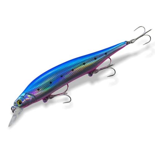 momoルアー モモルアー シーバス ルアー Xミノー 80 マグナムサイズ 115mm 18.5g ジャーキングメソッド (ブルピンイワシ) : RITTER - 通販 - Yahoo!ショッピング