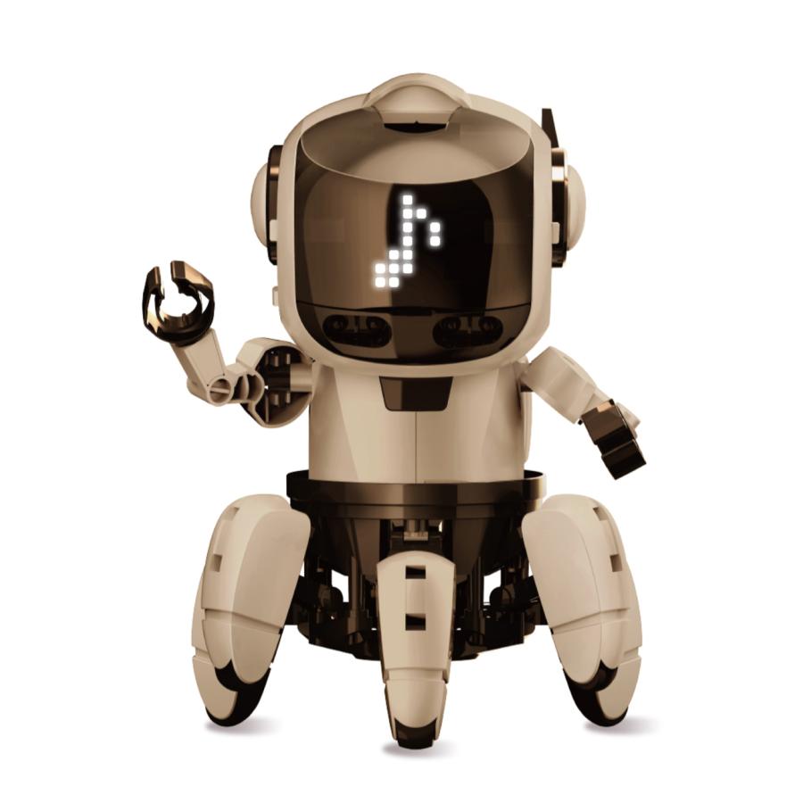 プログラミング・フォロ スピーク for CHROME（Item No:MR-9123）【エレキット_ELEKIT】 : ロボットゆうえんち ...