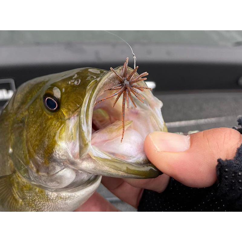 HIDEUP ハイドアップ★コイケマイクロ★渦潮ブルー#262★エコ認定商品 : ルアーショップ ロッドマン - 通販 - Yahoo!ショッピング