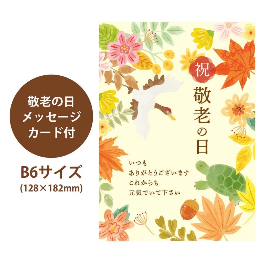 敬老祝 さくらポークチゲ鍋セット 敬愛の気持ちを込めて プレゼント 敬老の日 メッセージカード付き 掛け紙付き SCS-50 : apde-7841-082 : RoomDesign - 通販 ...