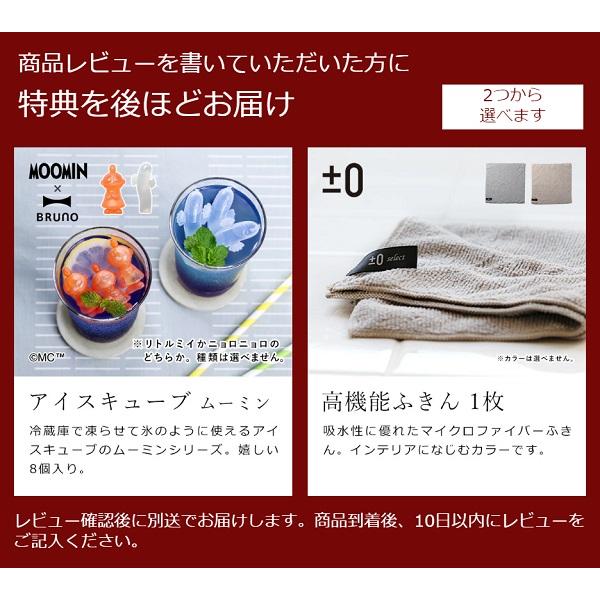 [ iFan Freeze II ]特典付 ハンディファン 冷却プレート付き 扇風機 USB 小型 ペルチェ 卓上扇風機 手持ち扇風機 ミニ扇風機 アイファン フリーズ2 IF-FZ23 ...