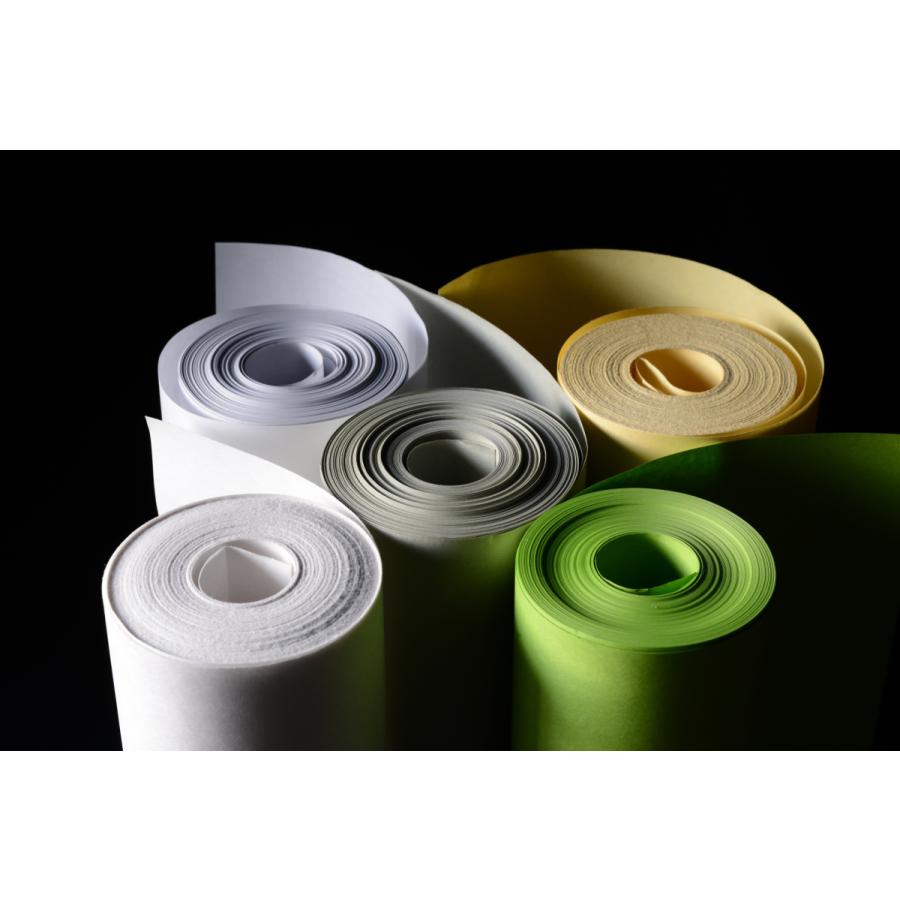 クラフト紙 ロール カラー 505mm×20m 【小巻】 クラフトペーパー 包装紙 ラッピングペーパー おしゃれ DIY 工作 包装紙ロール 耐水性 厚手 【送料無料】 :rp014 ...