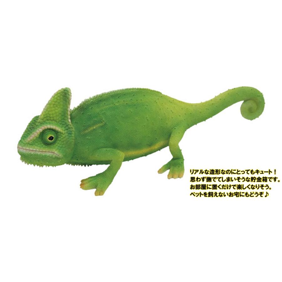 貯金箱 ペットバンク カメレオン グリーン 8.5×26×10.5cm 1263 : Rose Cheek - 通販 - Yahoo!ショッピング